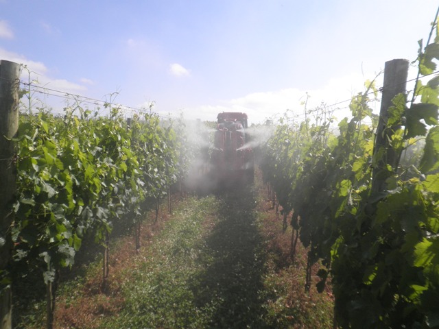 PulsFOG – Termonebulizadores portáteis do tamanho da sua necessidade ...